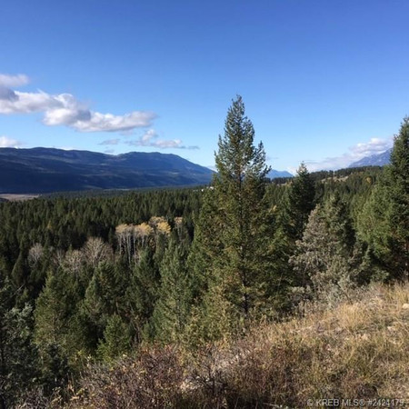 12 Homes for Sale in Edgewater, BC | Edgewater Real Estate